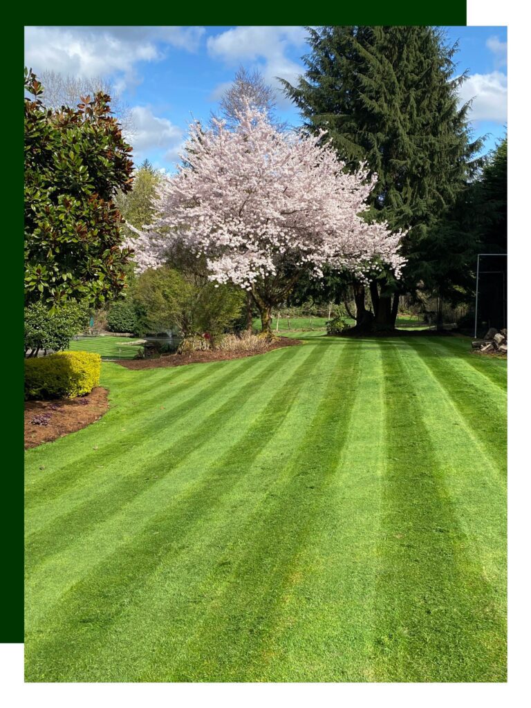 Landscaping Services for Properties in Seattle, WA